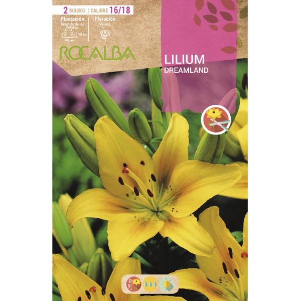 Bulbo de lilium en Germigarden